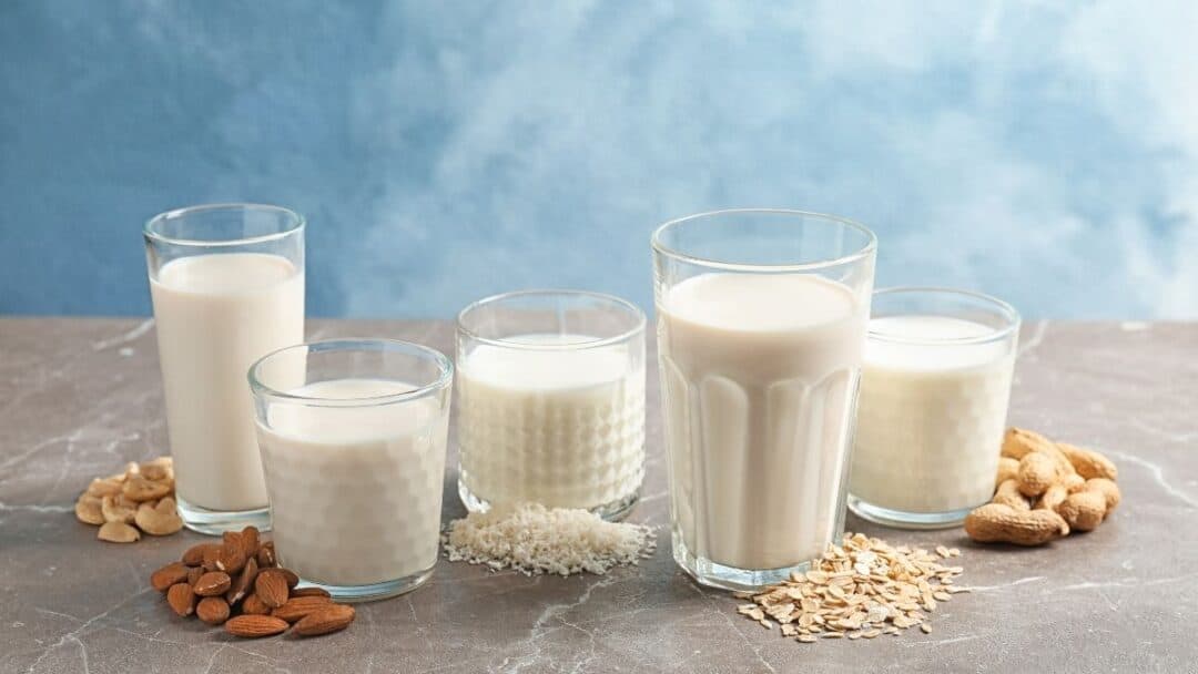 Your Complete Guide To Dairy VS Plant Based Milk - Colleen Christensen ...
