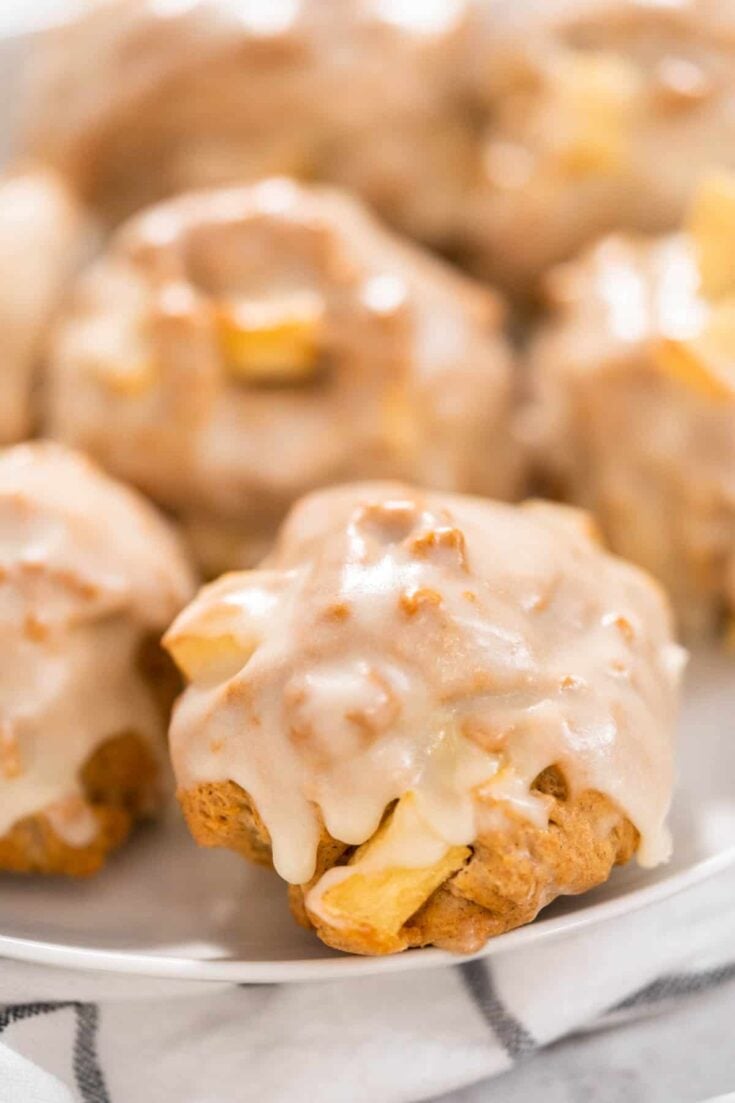 Air Fryer Apple Fritters - Colleen Christensen Nutrition