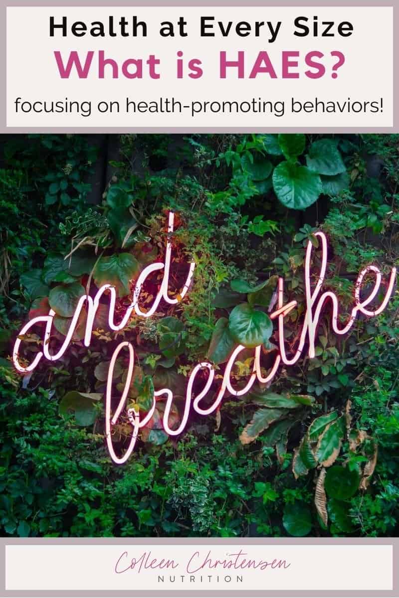 Can You Really Be Healthy At Every Size? (HAES Explained!) - Colleen ...