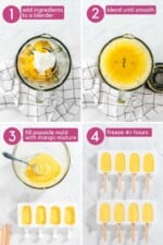 Mango Pops (Easy 2 Ingredient Recipe) - Colleen Christensen Nutrition